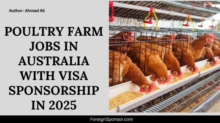 Poultry Farm Jobs in Australia with Visa Sponsorship in 2025 - Foreign Sponsor
